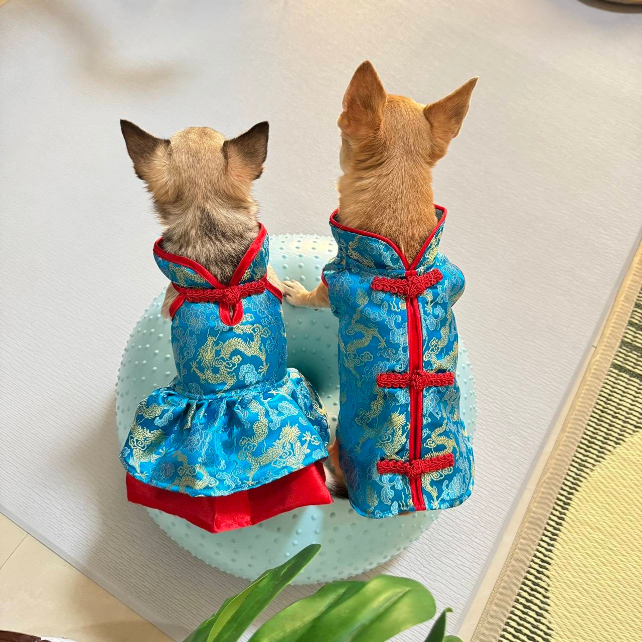 Chinese New Year Outfit | Boys & Girls | Made in Thailand – PAW-EVER